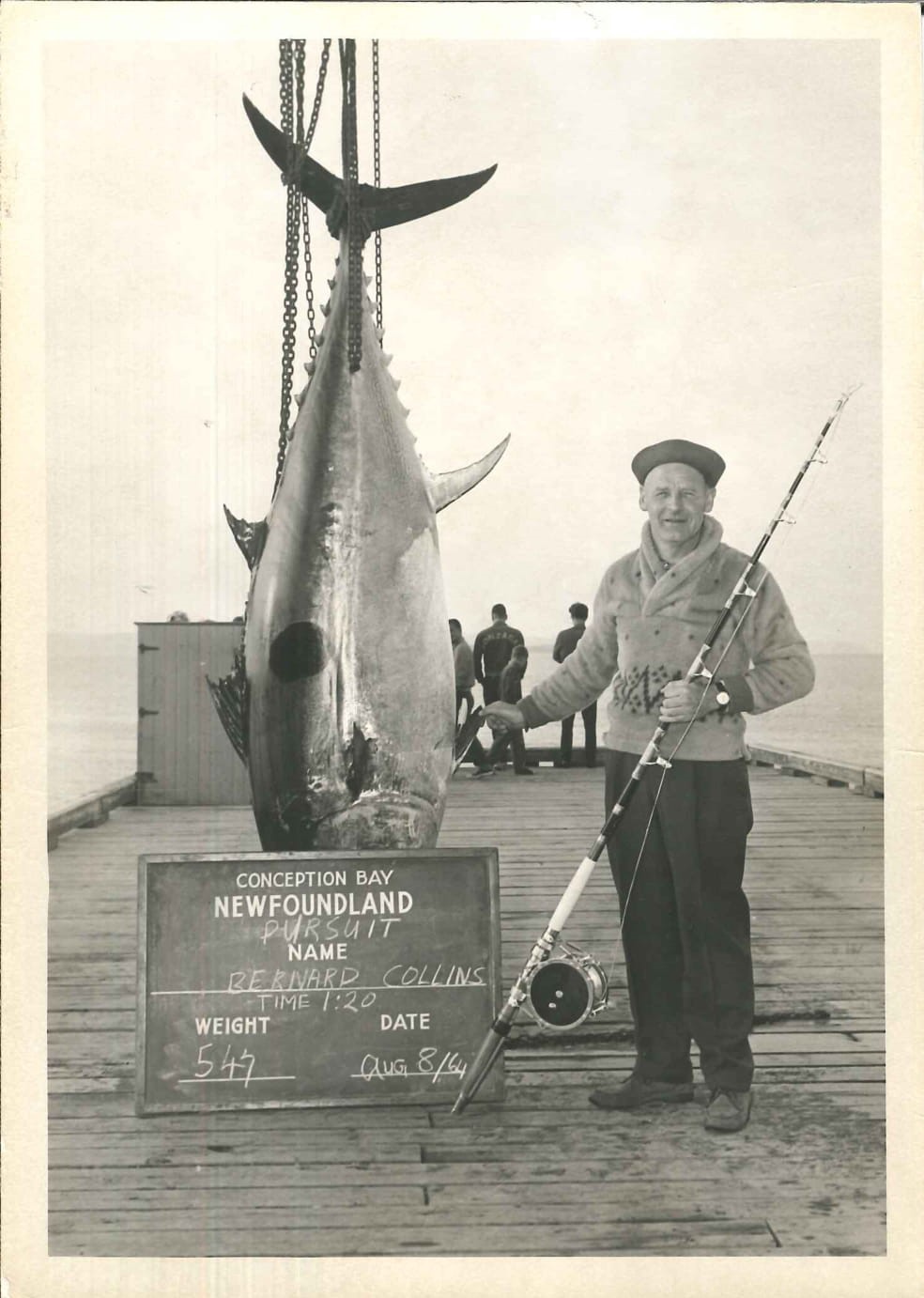 Our History - PF Collins International Trade Solutions