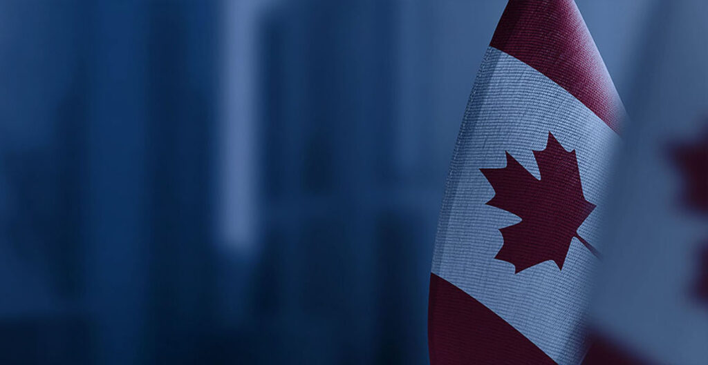 PF Collins International Trade Solutions & Logistics Experts