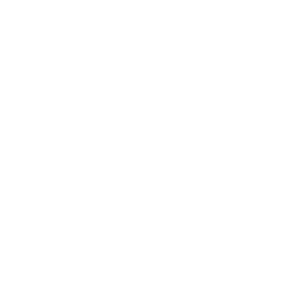 CARM - CBSA Assessment & Revenue Management